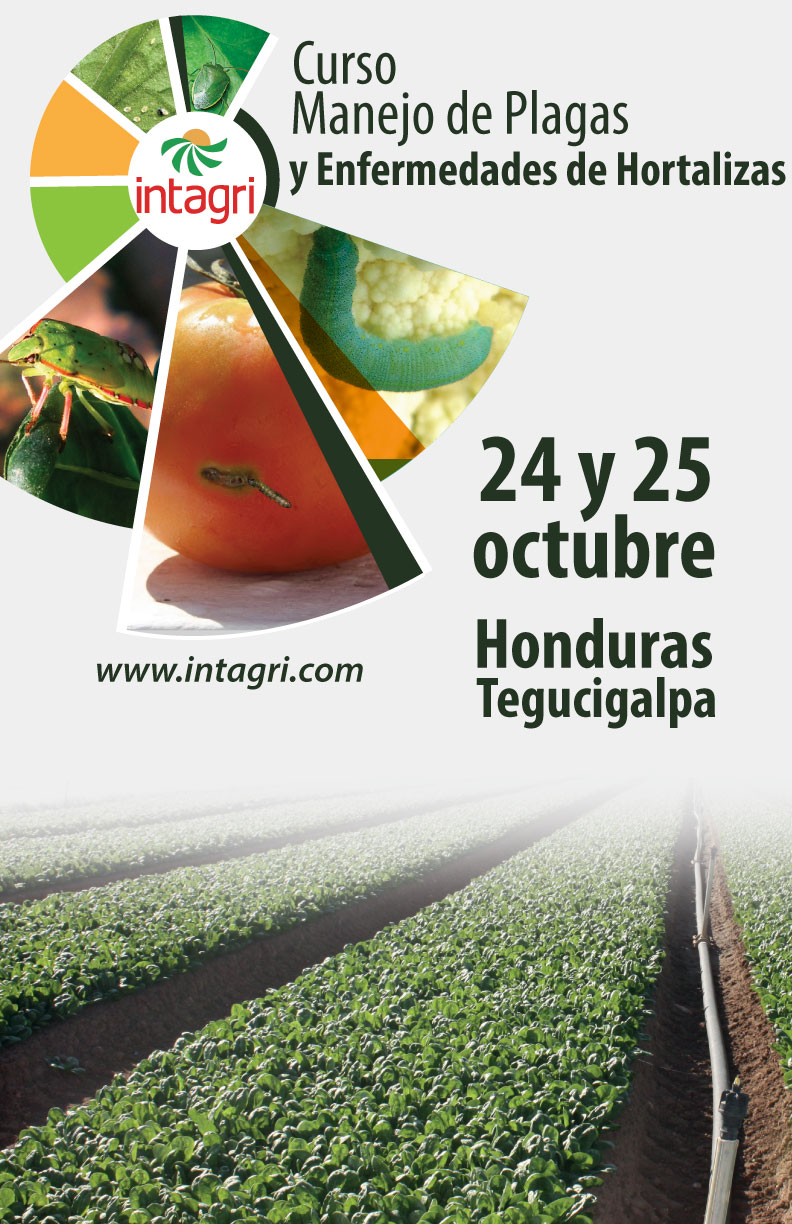 Curso Manejo de Plagas y Enfermedades de Hortalizas en Honduras - Inicio | Intagri S.C.